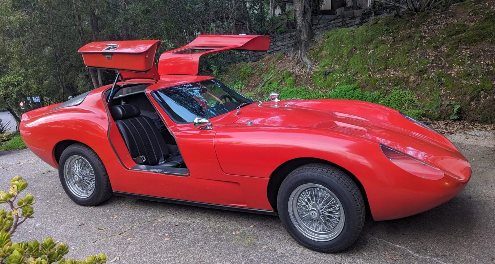 The Fiberfab Caribee: A Little-Known American Gullwing Coupe