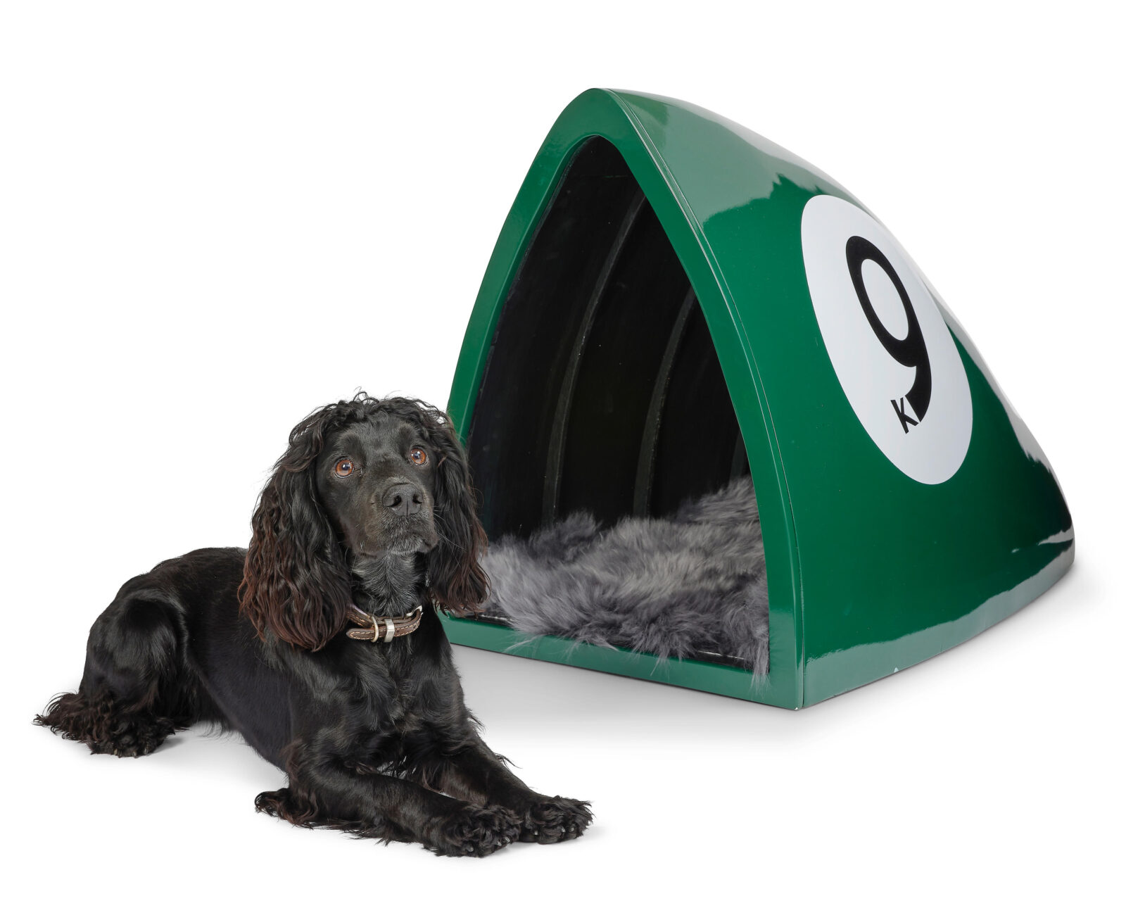 "Headrush" A Racing Car Air Intake Dog Kennel