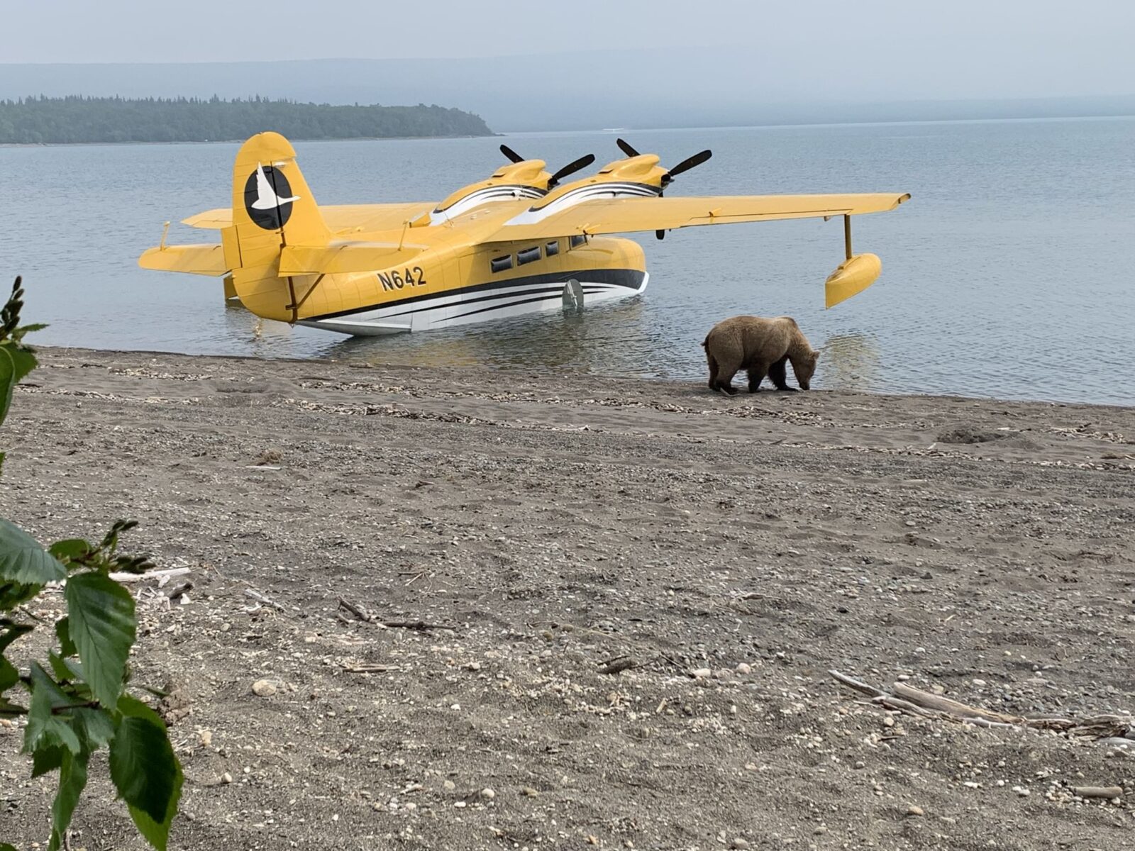 There's A Restored Grumman G-21 Goose For Sale