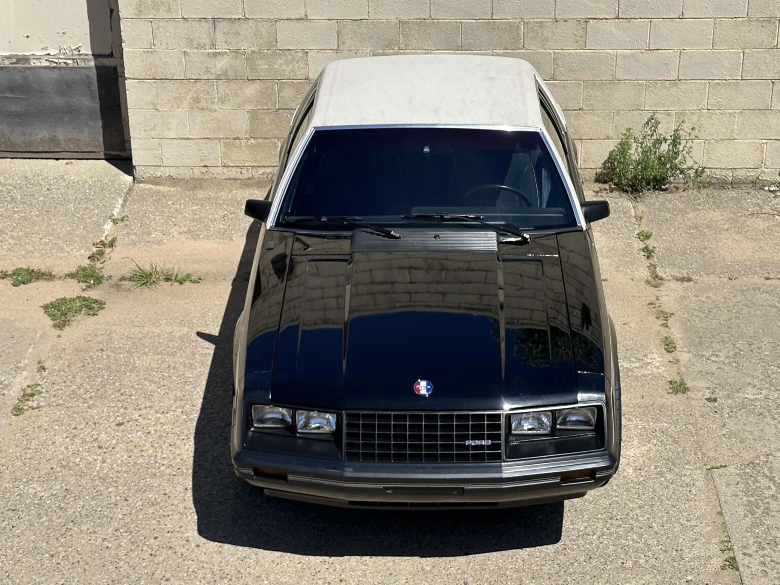 Fox Body Sleeper! A 400+ BHP Coyote V8-Powered 1981 Ford Mustang