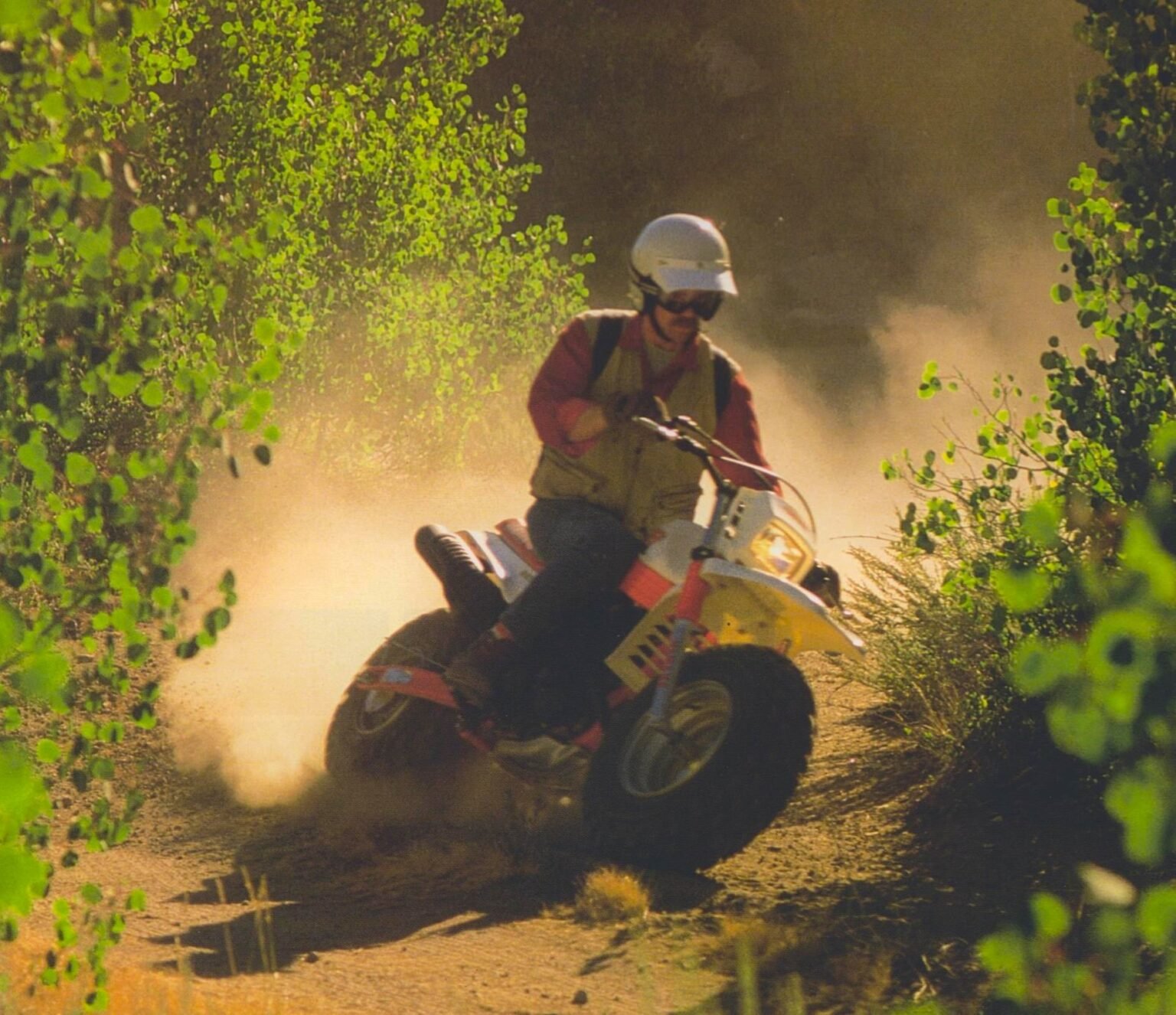 A Yamaha "Big Wheel" BW350 – Original '80s Survivor