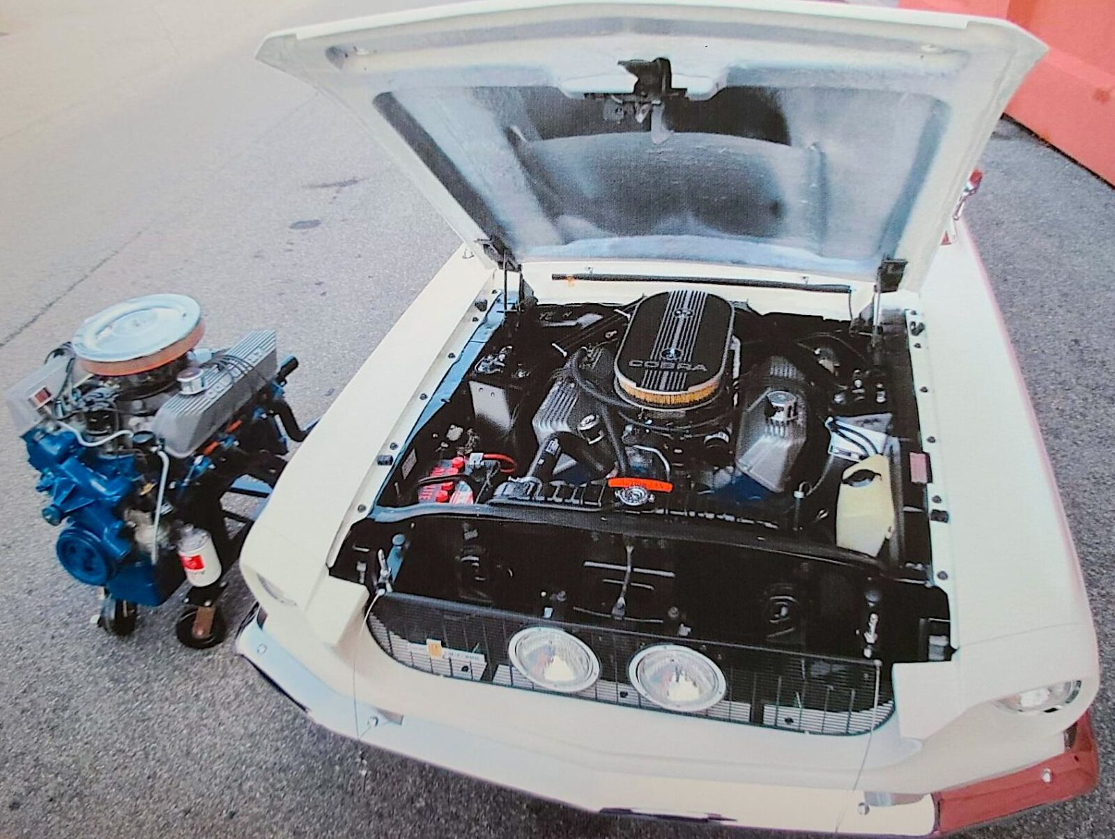 Crate Engine: A Rare Holman-Moody Ford 427 FE 7.0 Liter V8