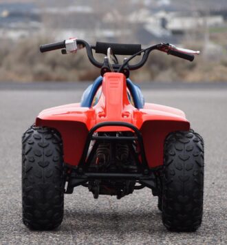 For Sale: A Rare 1984 Suzuki LT50 Quadrunner