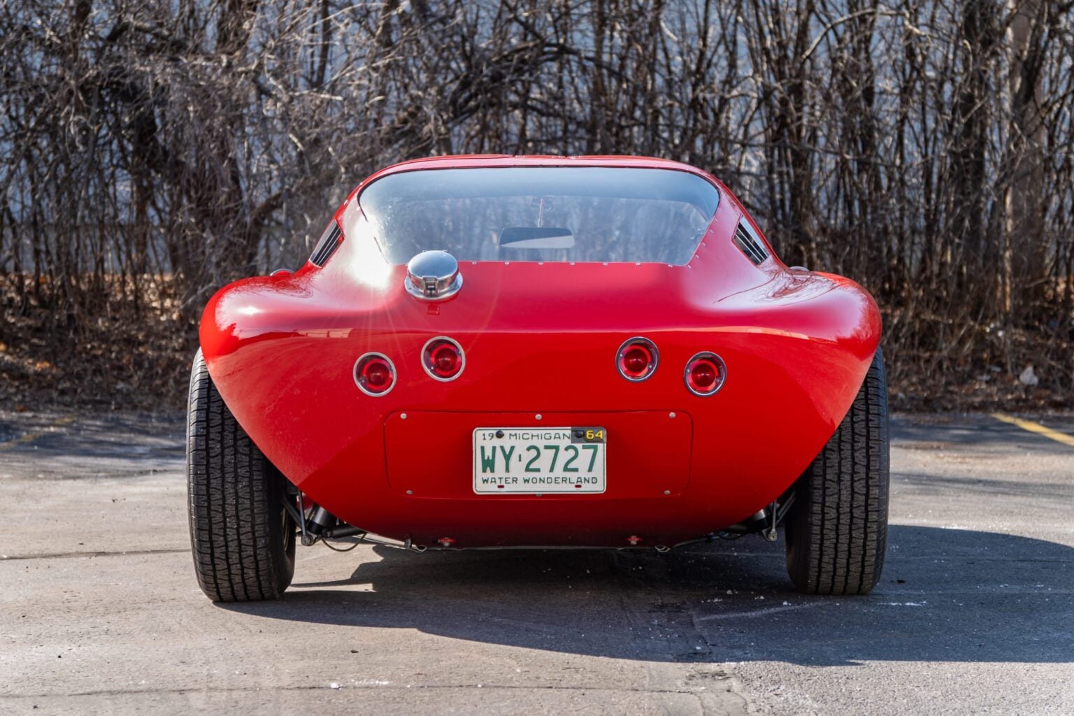 The Bill Thomas Cheetah – An American-Made Cobra Killer