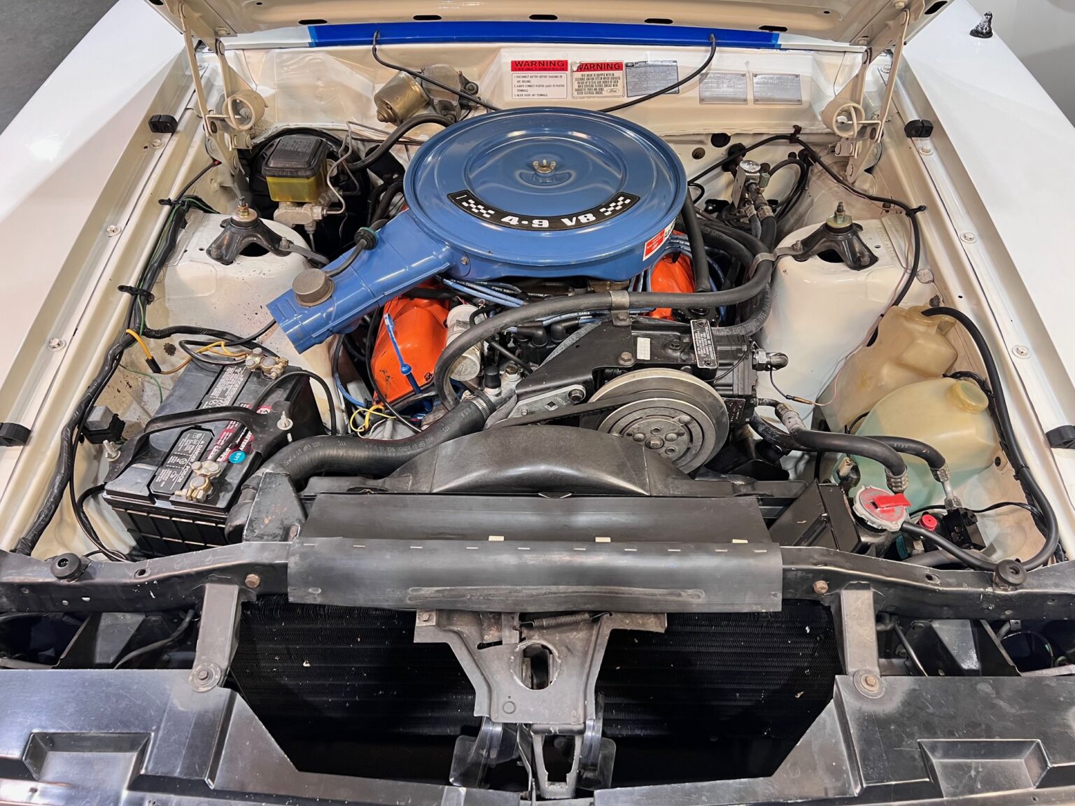 Rare In The USA: The Australian Ford Falcon Cobra