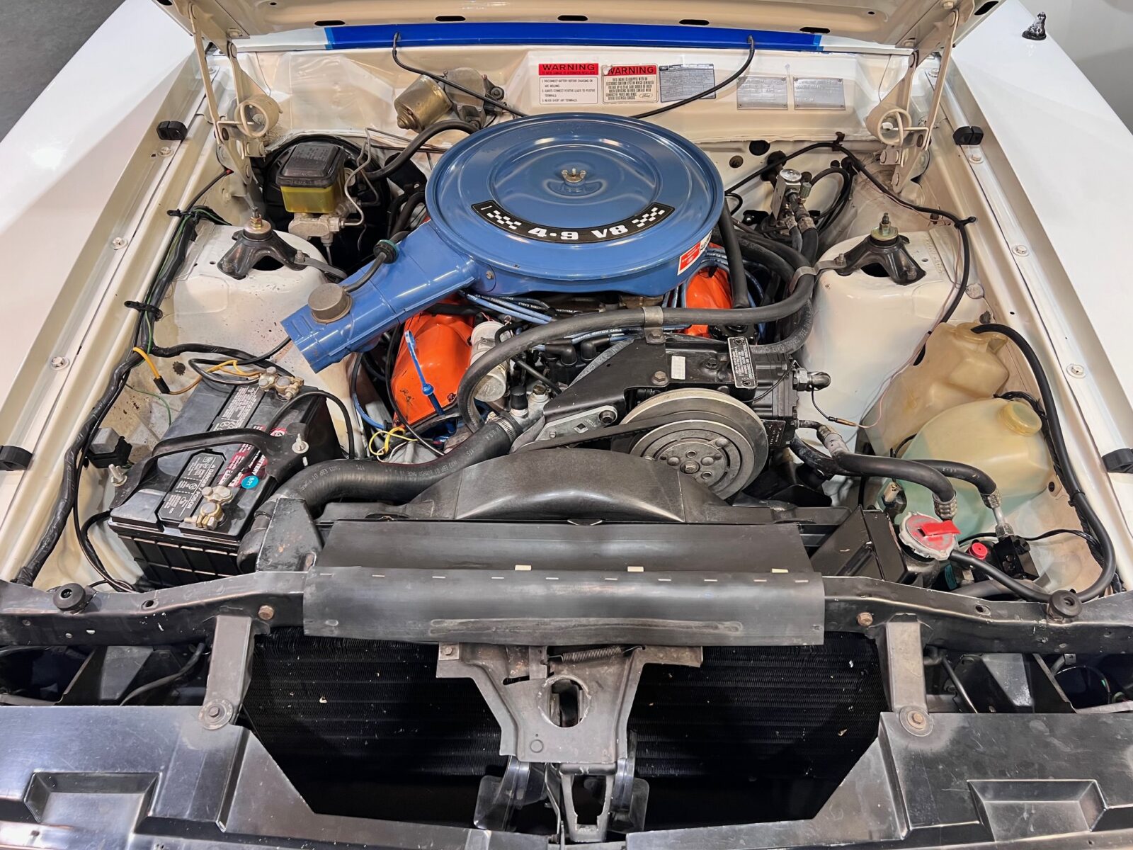 Rare In The USA: The Australian Ford Falcon Cobra
