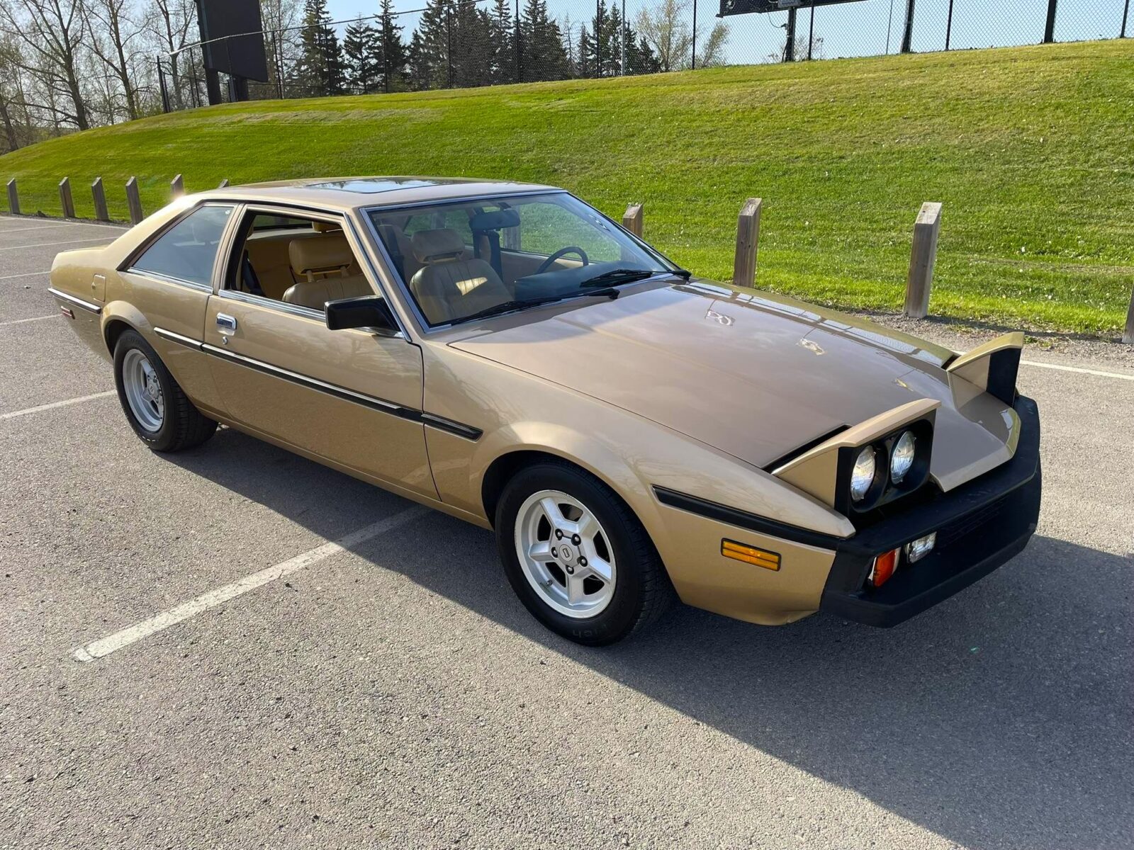 Ever Seen One Before? A Rare Bitter SC 5-Speed