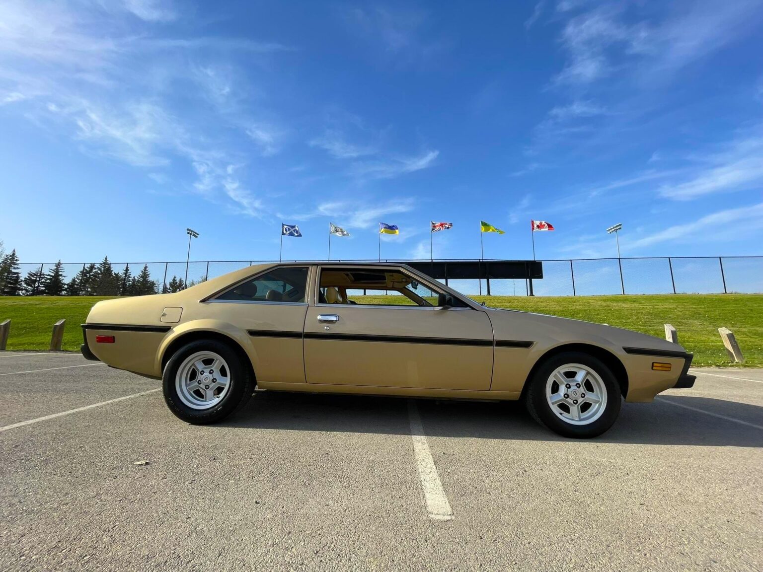 Ever Seen One Before? A Rare Bitter SC 5-Speed