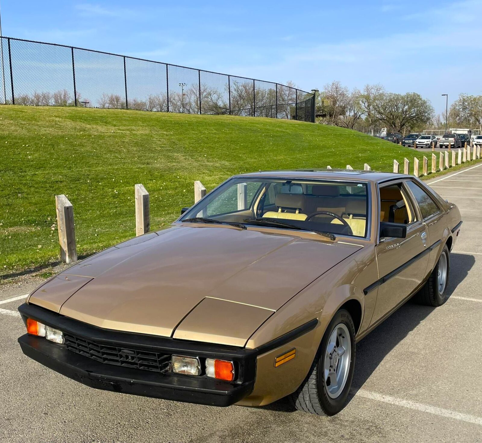 Ever Seen One Before? A Rare Bitter SC 5-Speed